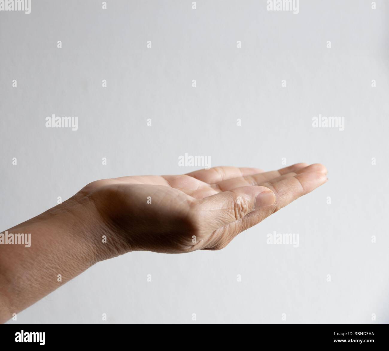 White background woman open palm gently isolate showing gesture sign ...