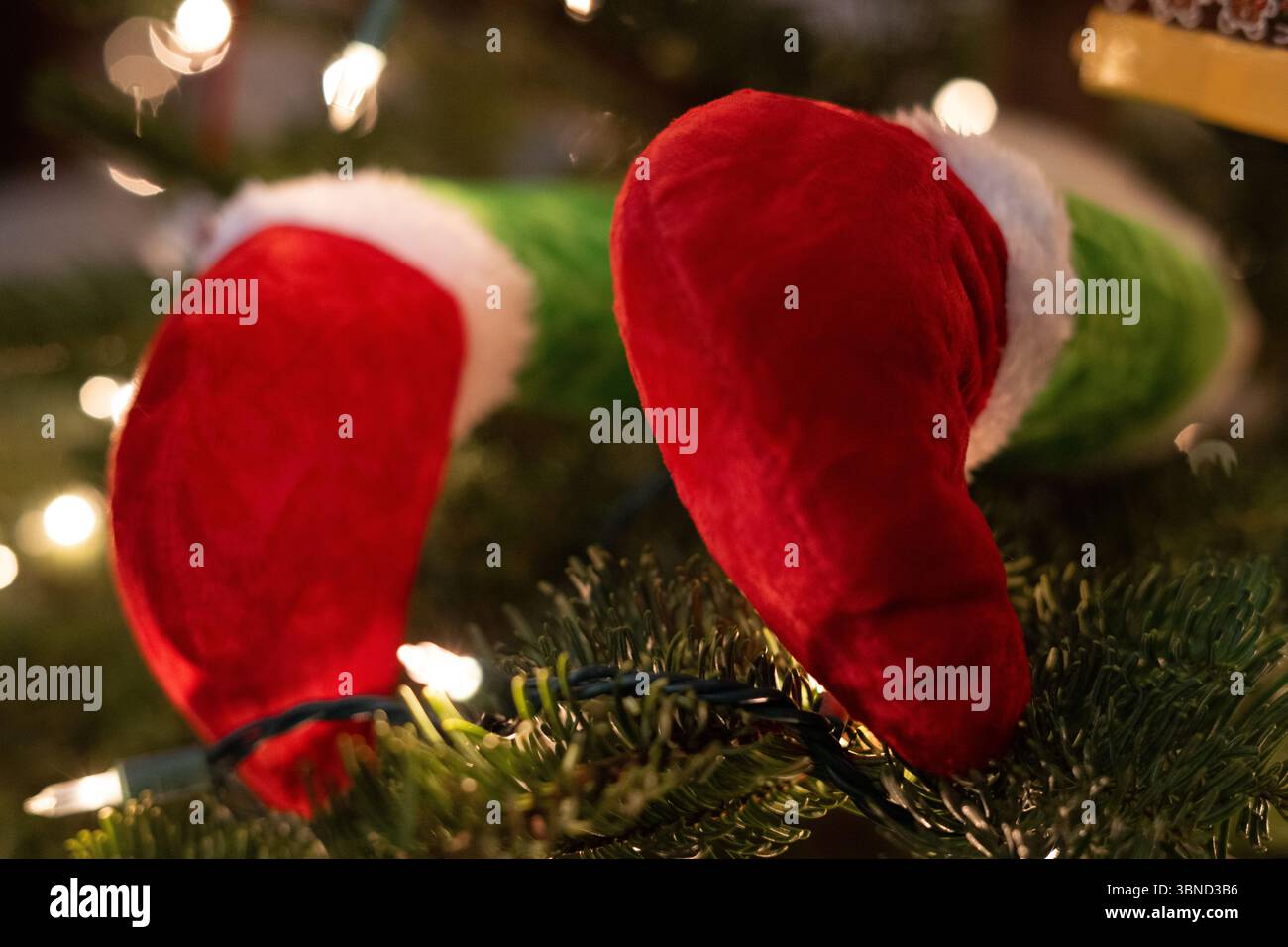 Closeup of elf legs in tree. Fun elf holiday decoration, featuring cozy ...