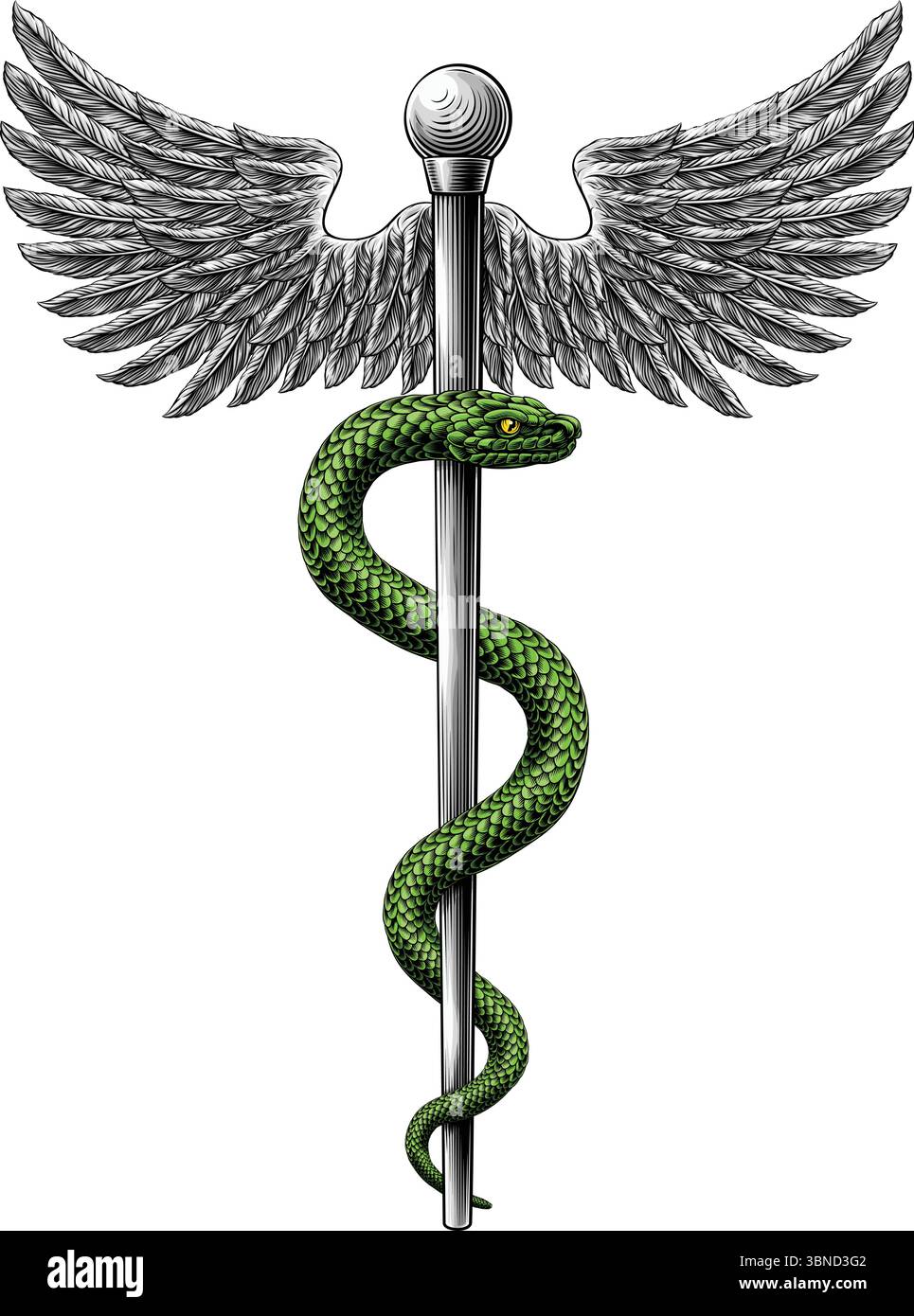 Rod of Asclepius Caduceus Medical Doctor Symbol Stock Vector Image ...
