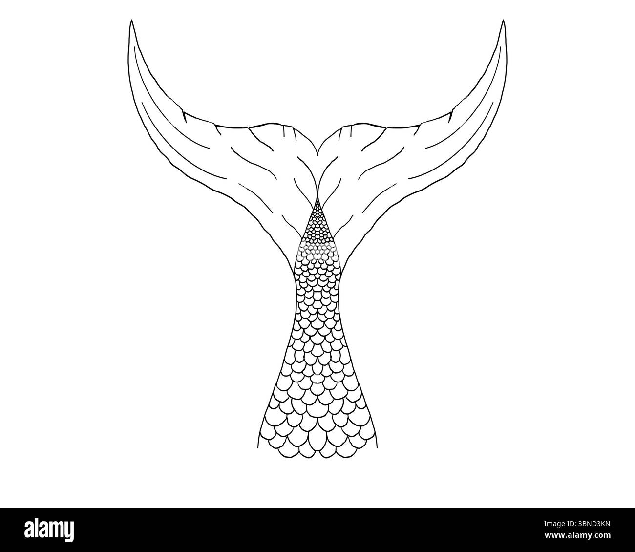 Hand-drawn mermaid tail illustration with wave lines and fantasy ...