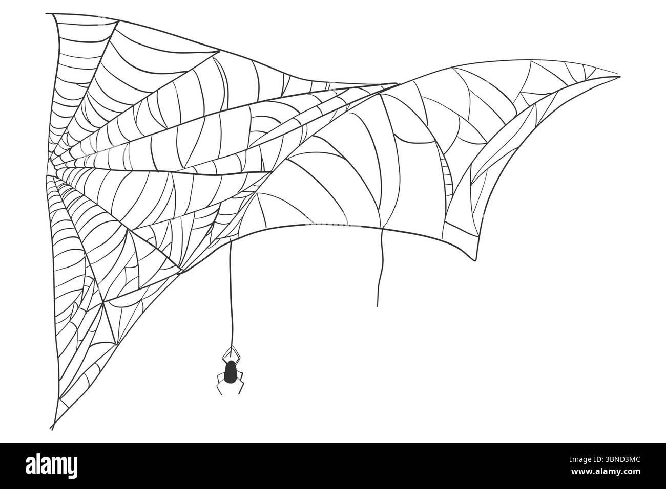 Silhouette spider webs for Halloween and horror decor. Corner cobweb ...