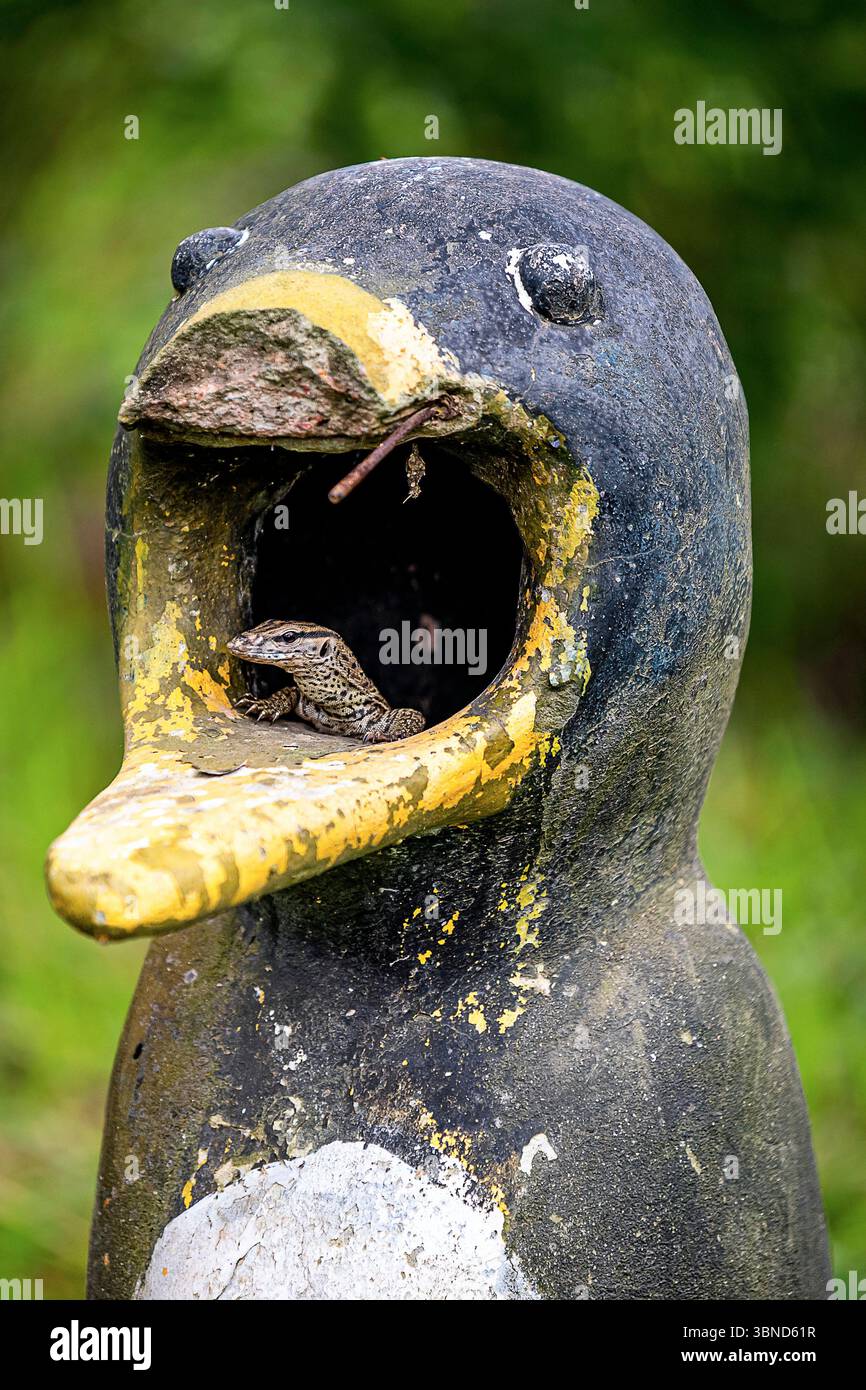 A colorful dinosaur sculpture appears to hold a small lizard in its ...