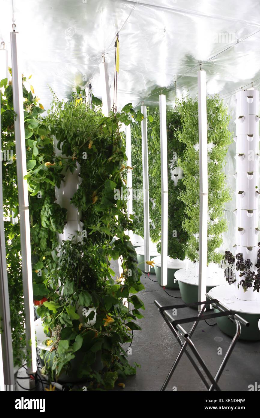 Applegarth Vertical farm Grayshott Hampshire UK inside the vertical ...