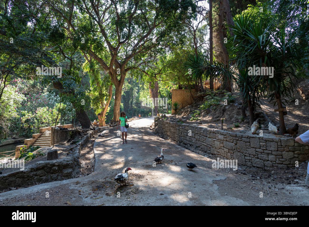 Rodini Park in Rhodes Town Greece Stock Photo - Alamy