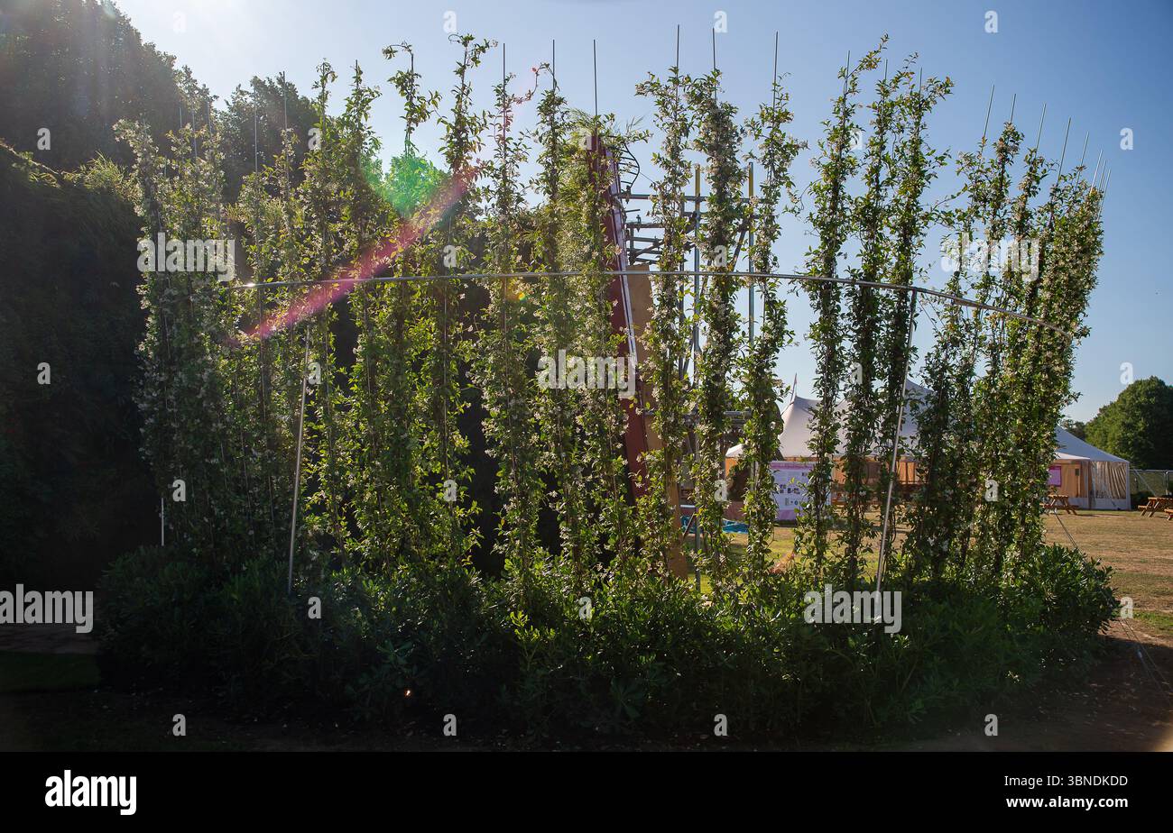 East Molesey, Surrey, UK. 30th June, 2025. The RHS Feature Garden ...