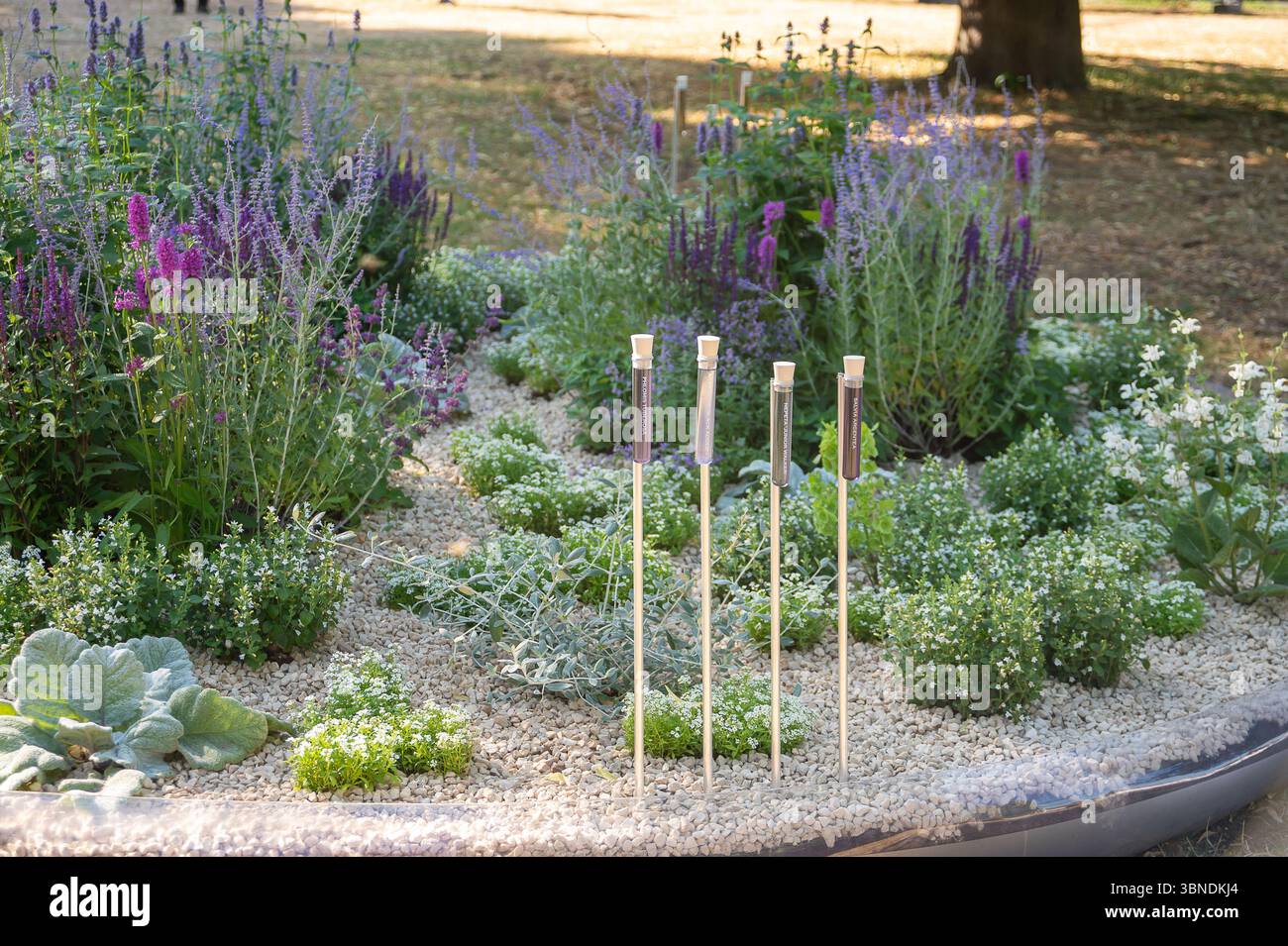East Molesey, Surrey, UK. 30th June, 2025. Herbal Fortress by Marlene ...