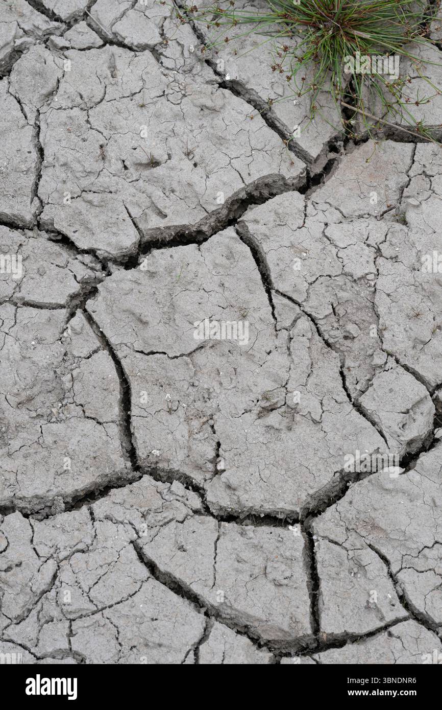 Mud cracks in drying hi-res stock photography and images - Alamy