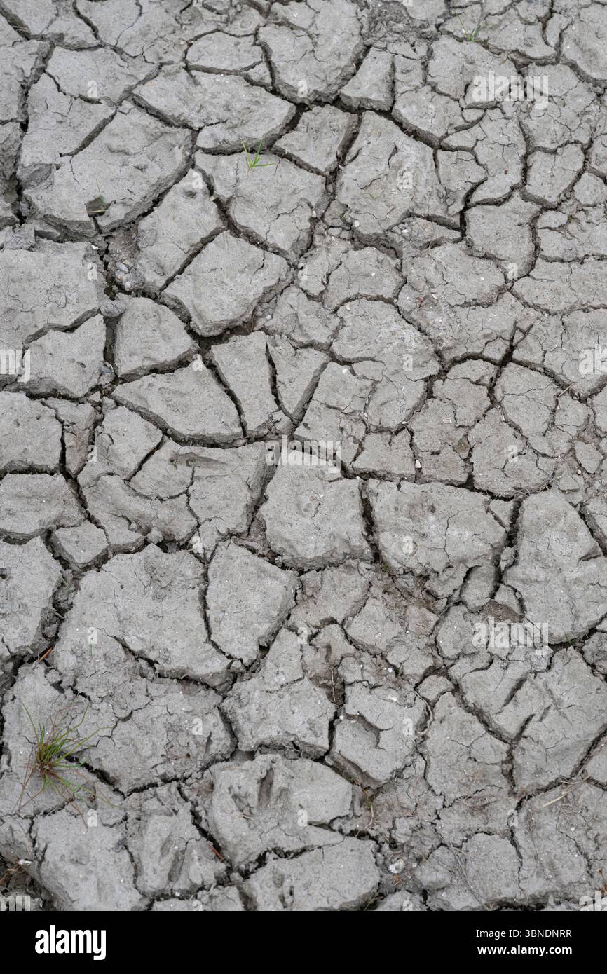 Drought climate hi-res stock photography and images - Alamy