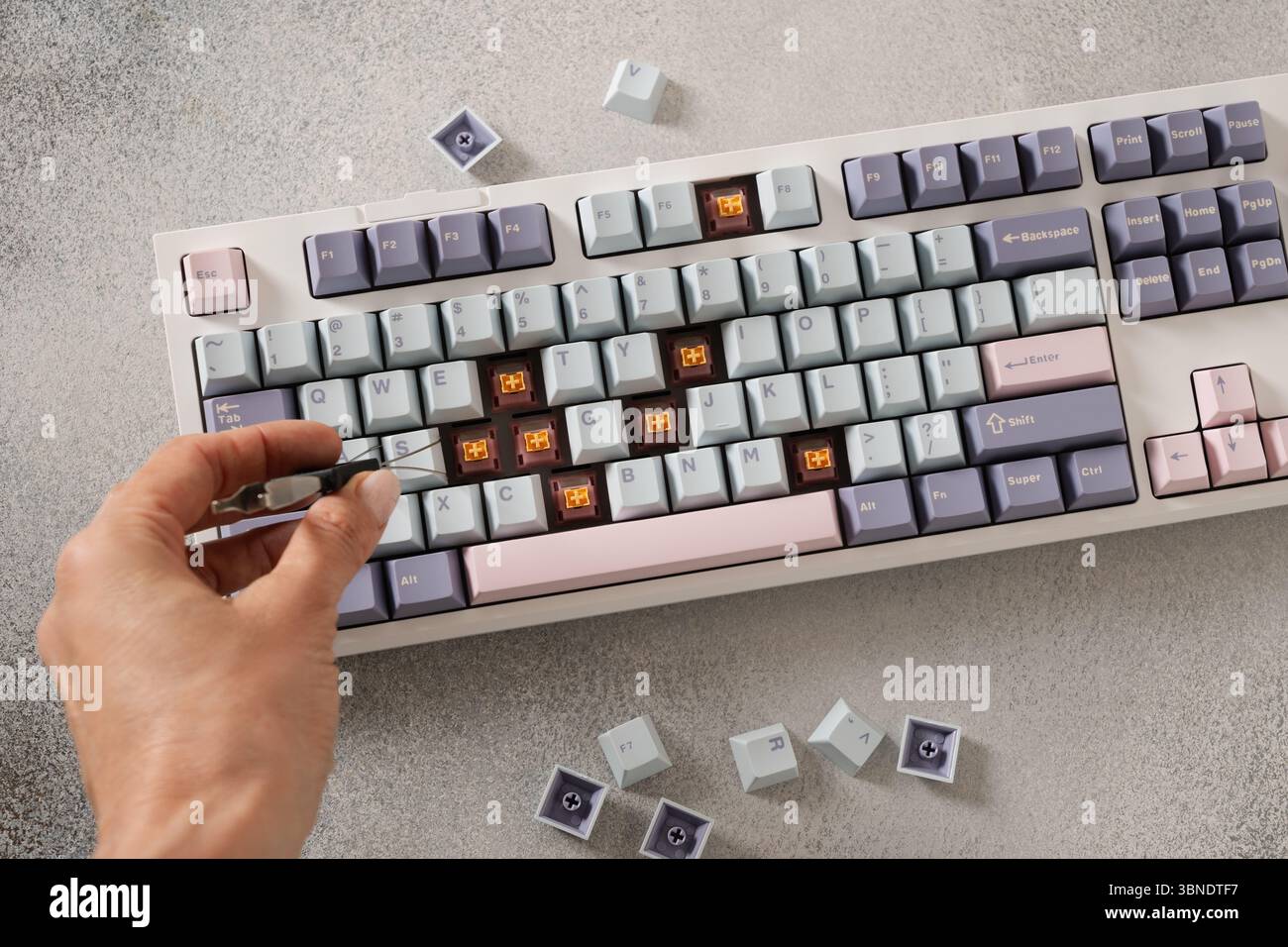 Custom build keyboard. Mechanical keyboard with colorful pastel keycaps ...