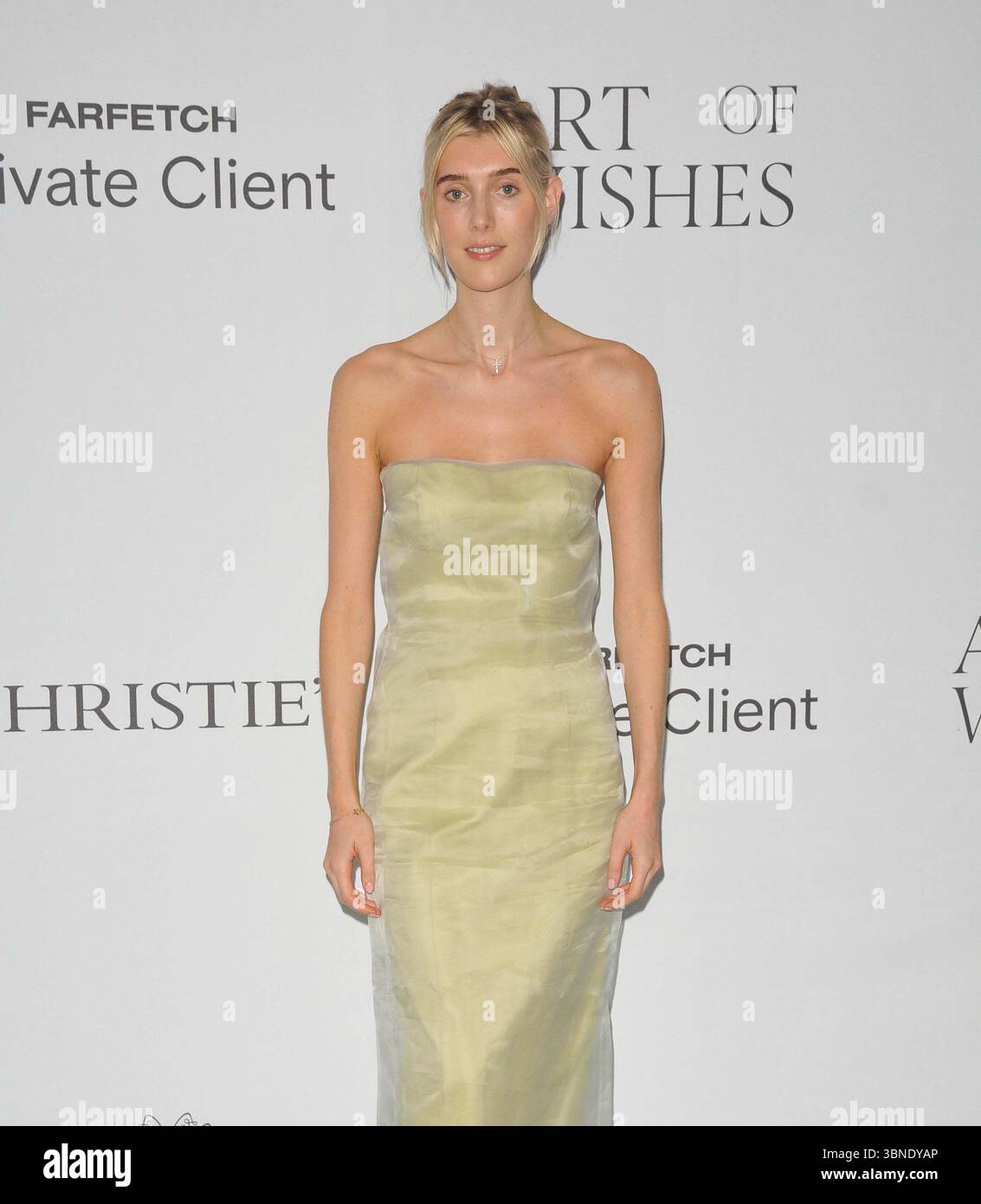 Evie Henderson at the Art of Wishes Gala Dinner 2023, Raffles London at ...