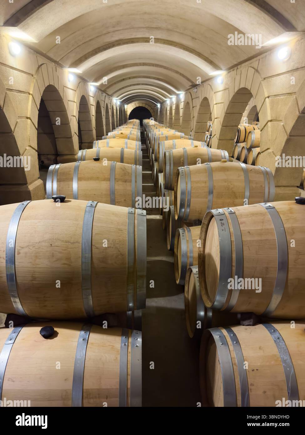 Large French white oak barrels containing aging wine in the cellars of ...