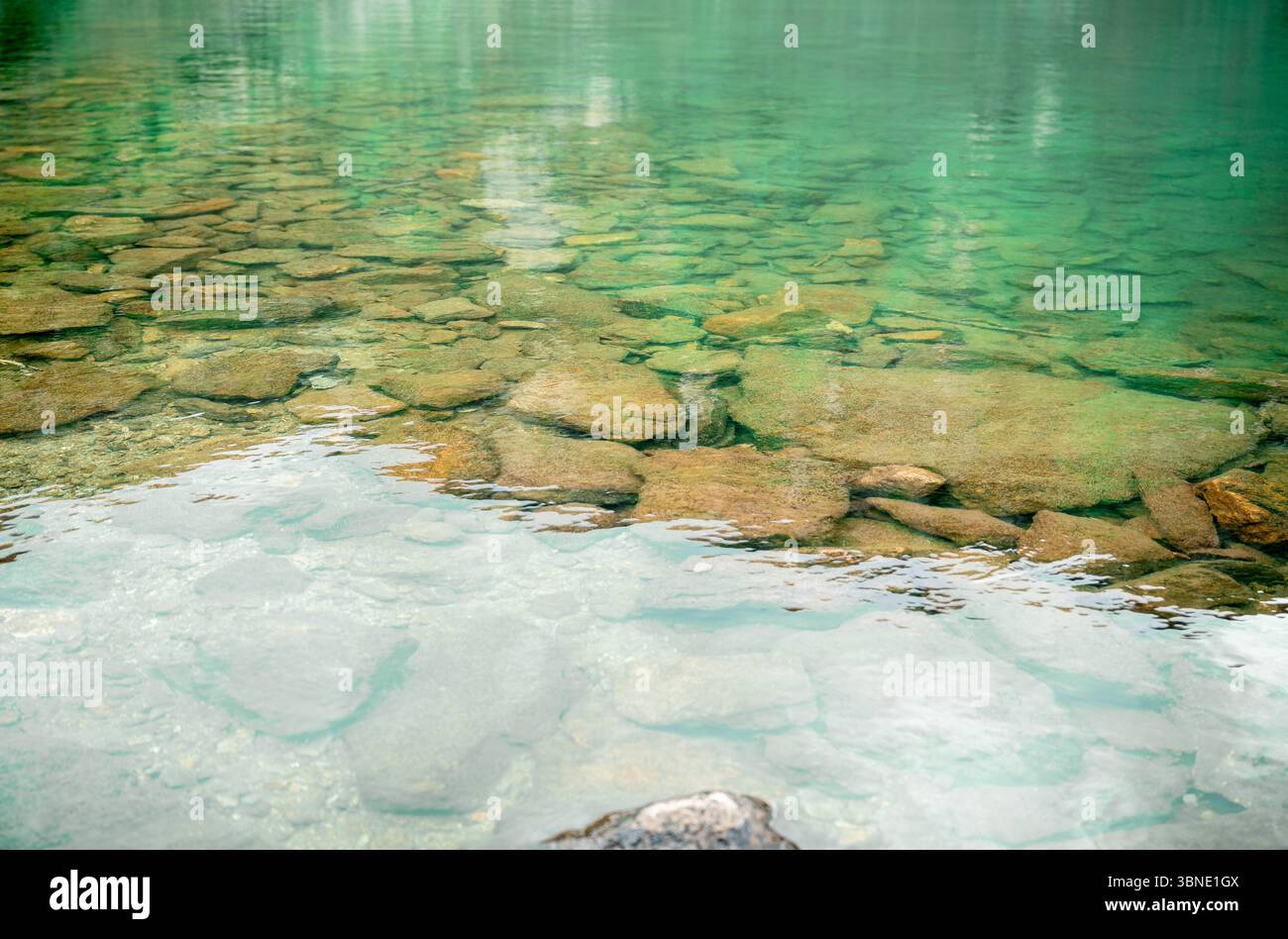 Crystal clear alpine lake water with visible stones on the bottom in ...