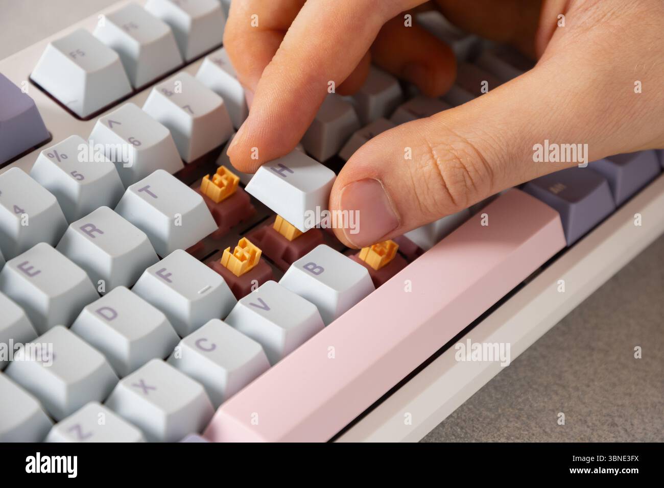 Custom build keyboard. Mechanical keyboard with colorful pastel keycaps ...