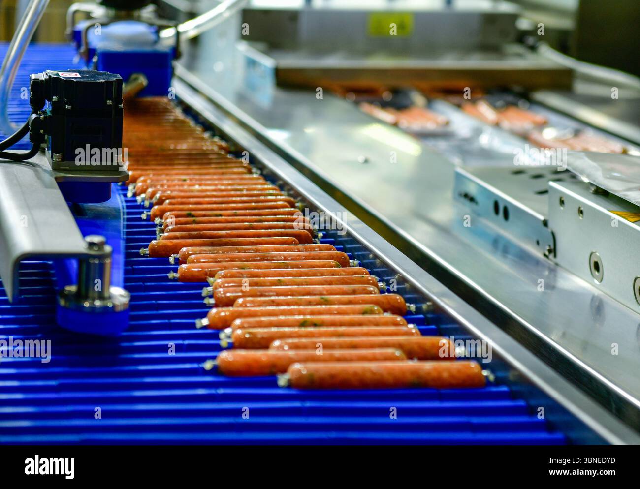 High-performance machines are wrapping processed fresh food products ...