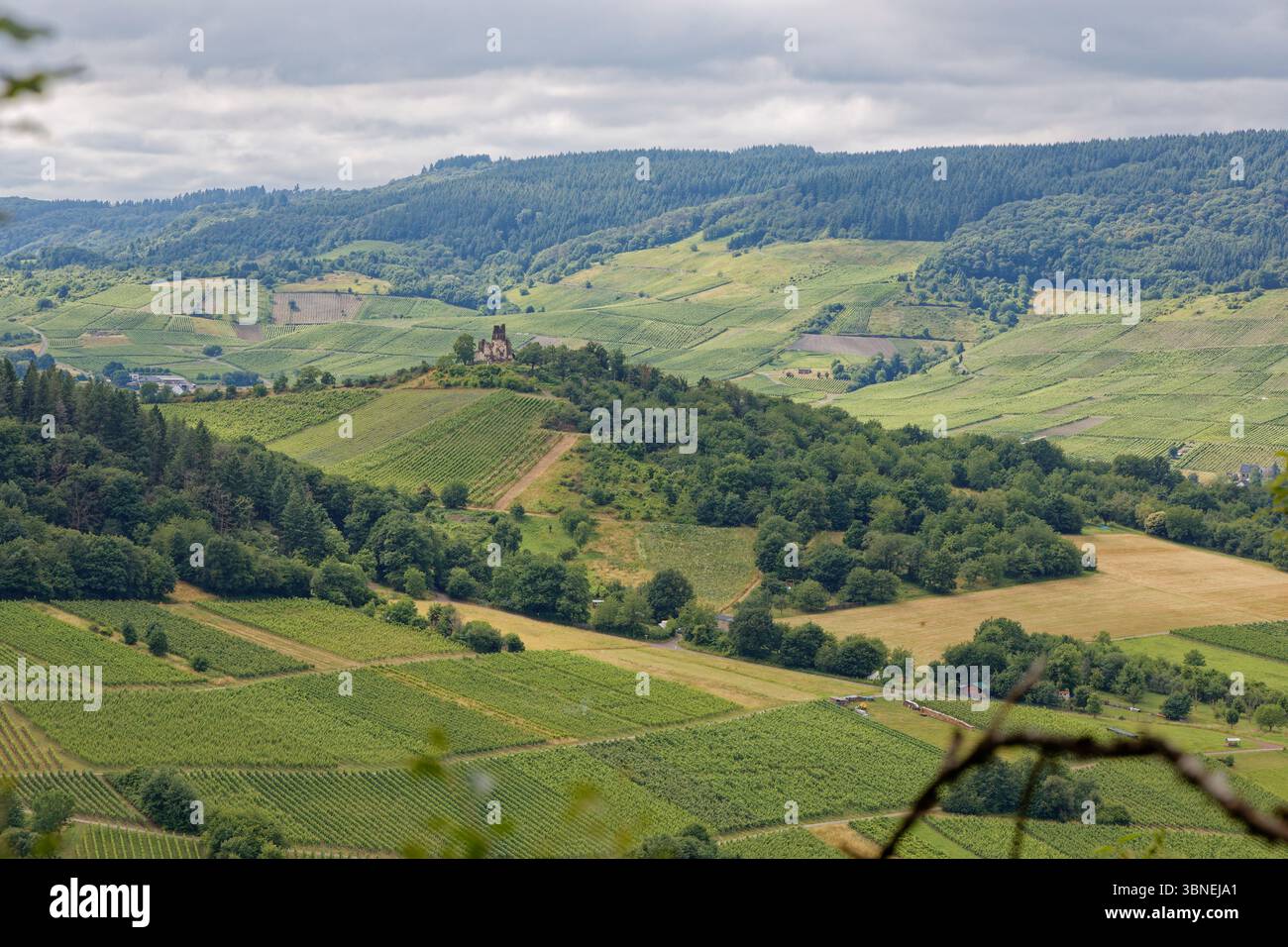 Majestic view from the Moselsteig trail over the Mosel valley with the ...