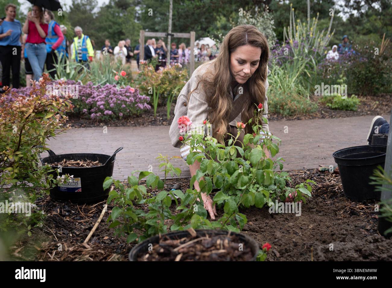 The Princess of Wales planting a rose during a visit to the RHS's ...