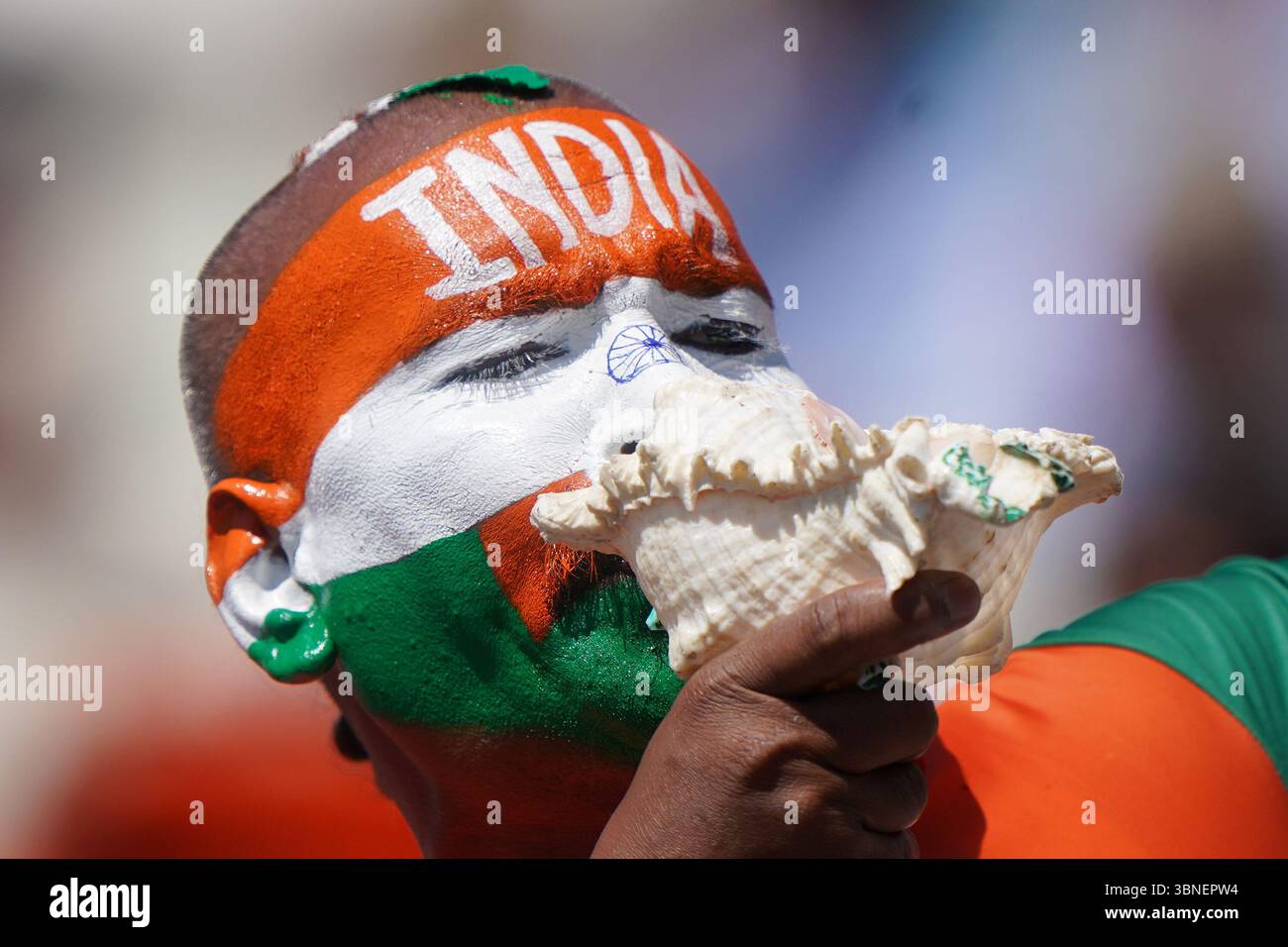Conch shell india hi-res stock photography and images - Alamy