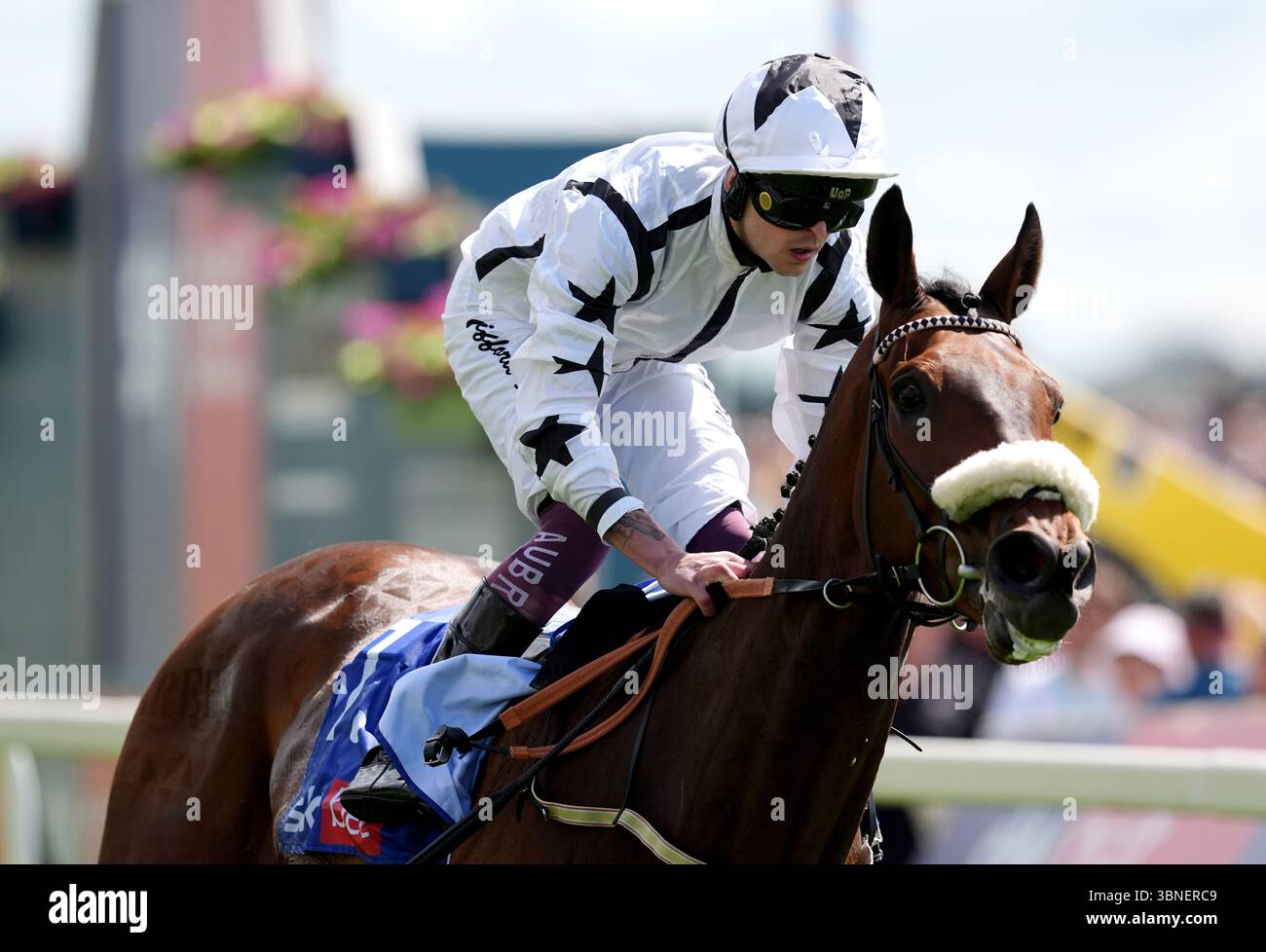 File photo dated 14-06-2025 of Al Qareem, who is on track to fly the flag for Yorkshire in the ...