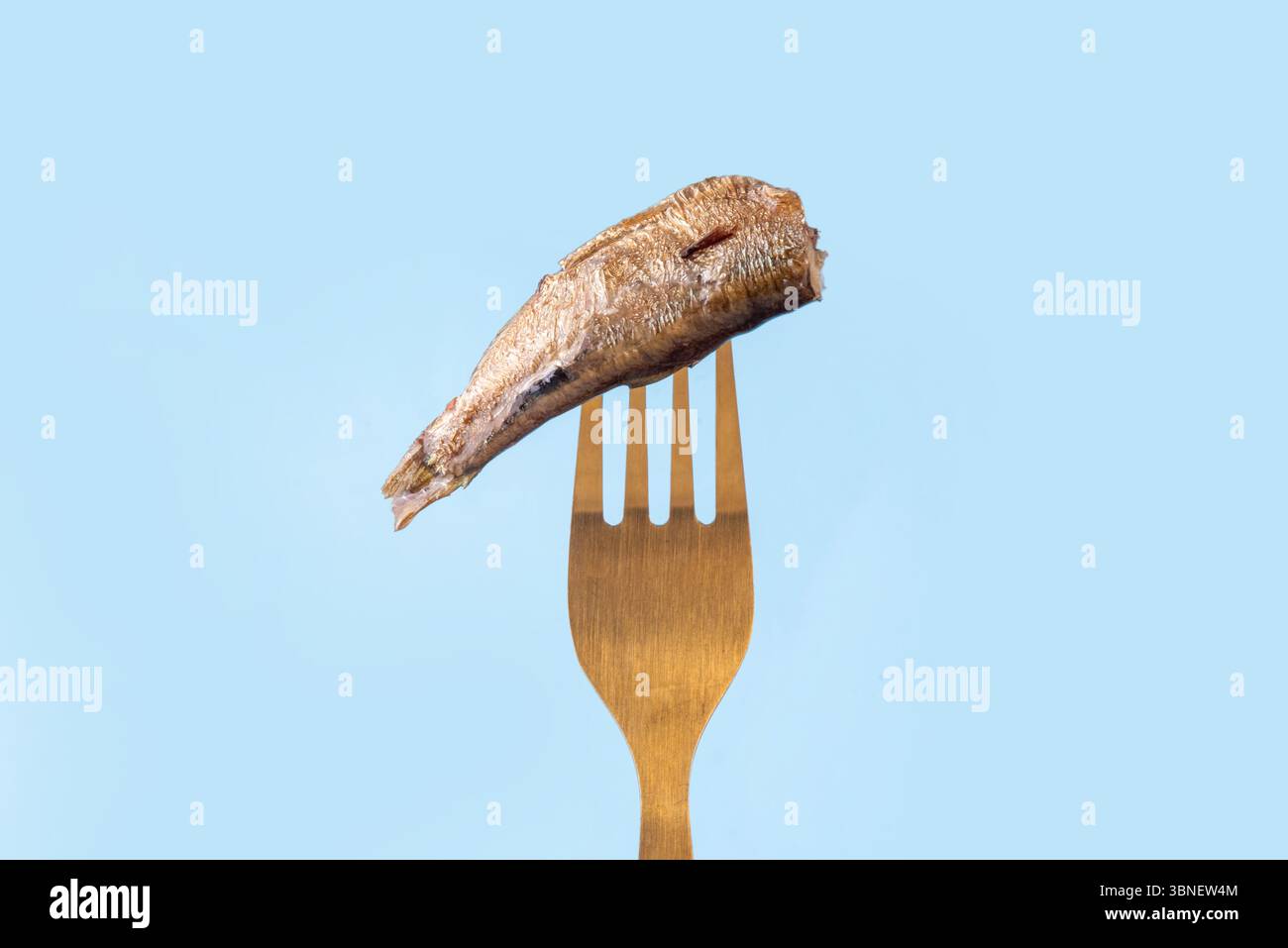 Sardinecore trend concept, canned sardines in metal can on a blue ...
