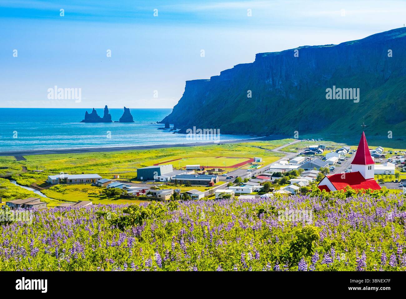 Town of Vik on Iceland, panorama Stock Photo - Alamy