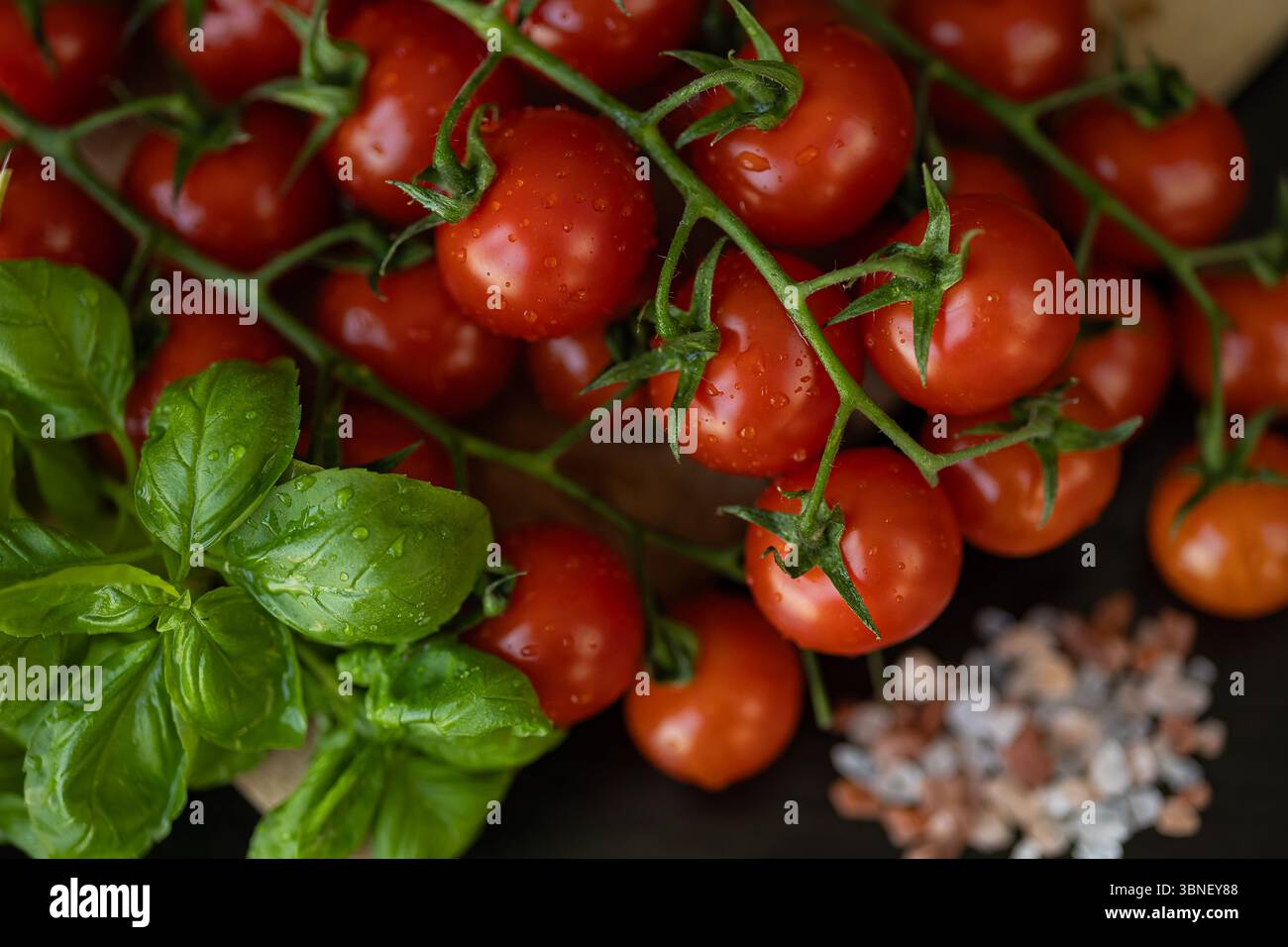 Fresh cherry tomatoes on the vine with basil leaves and sea salt ...