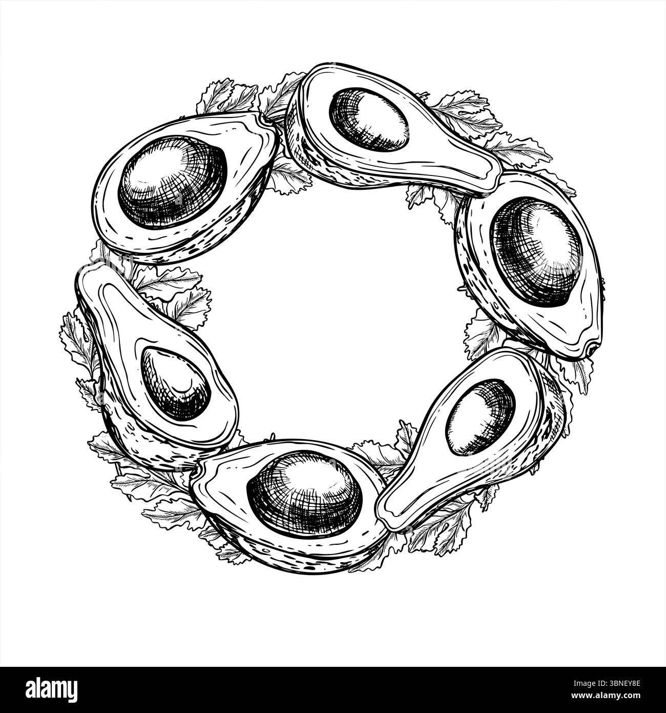 Salad leaf ink Cut Out Stock Images & Pictures - Alamy