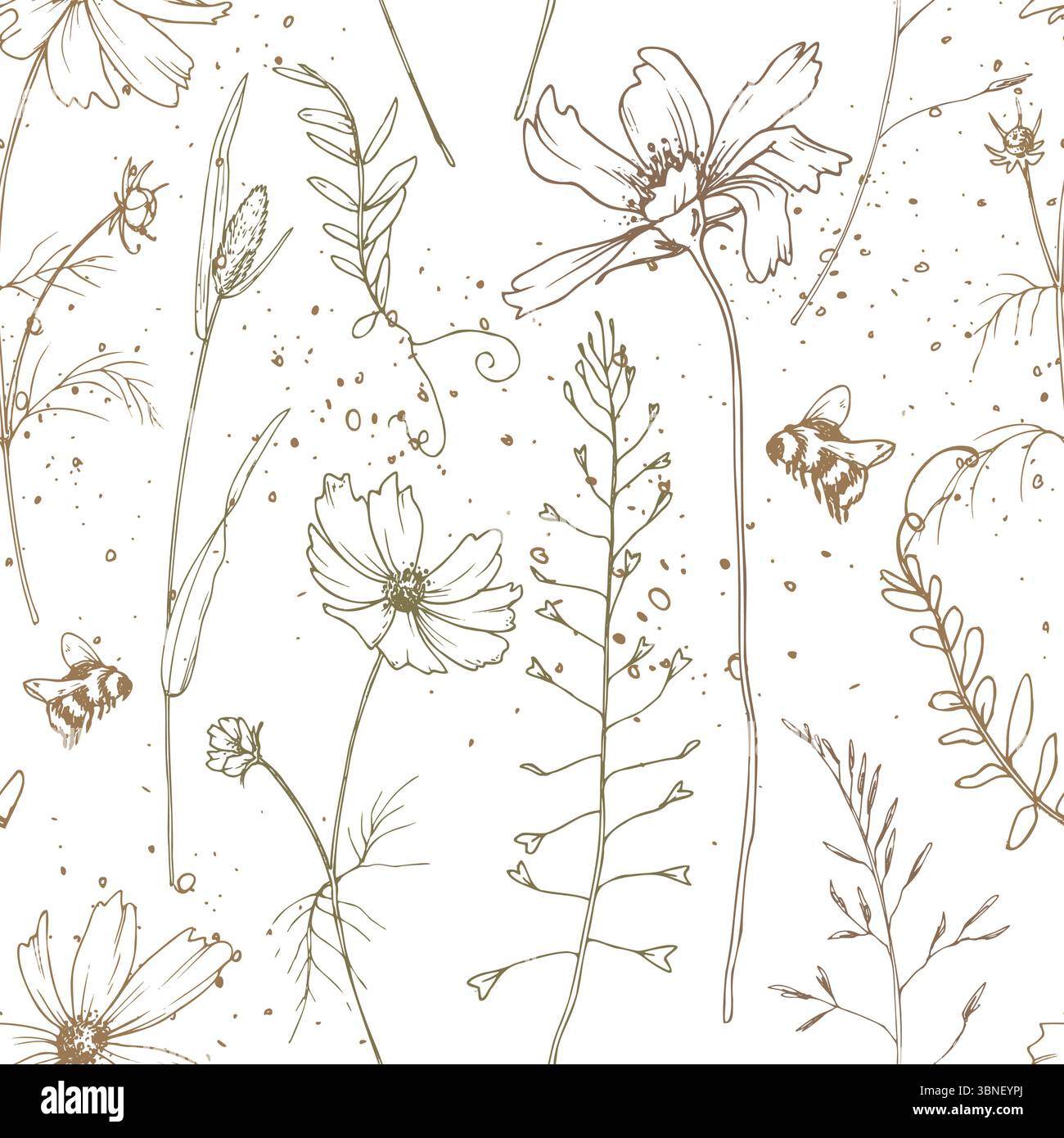 Air plant fine art Cut Out Stock Images & Pictures - Alamy