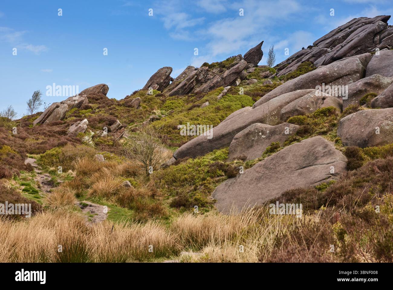 Ramshaw Rocks, a gritstone escarpment near The Roaches in the Peak ...