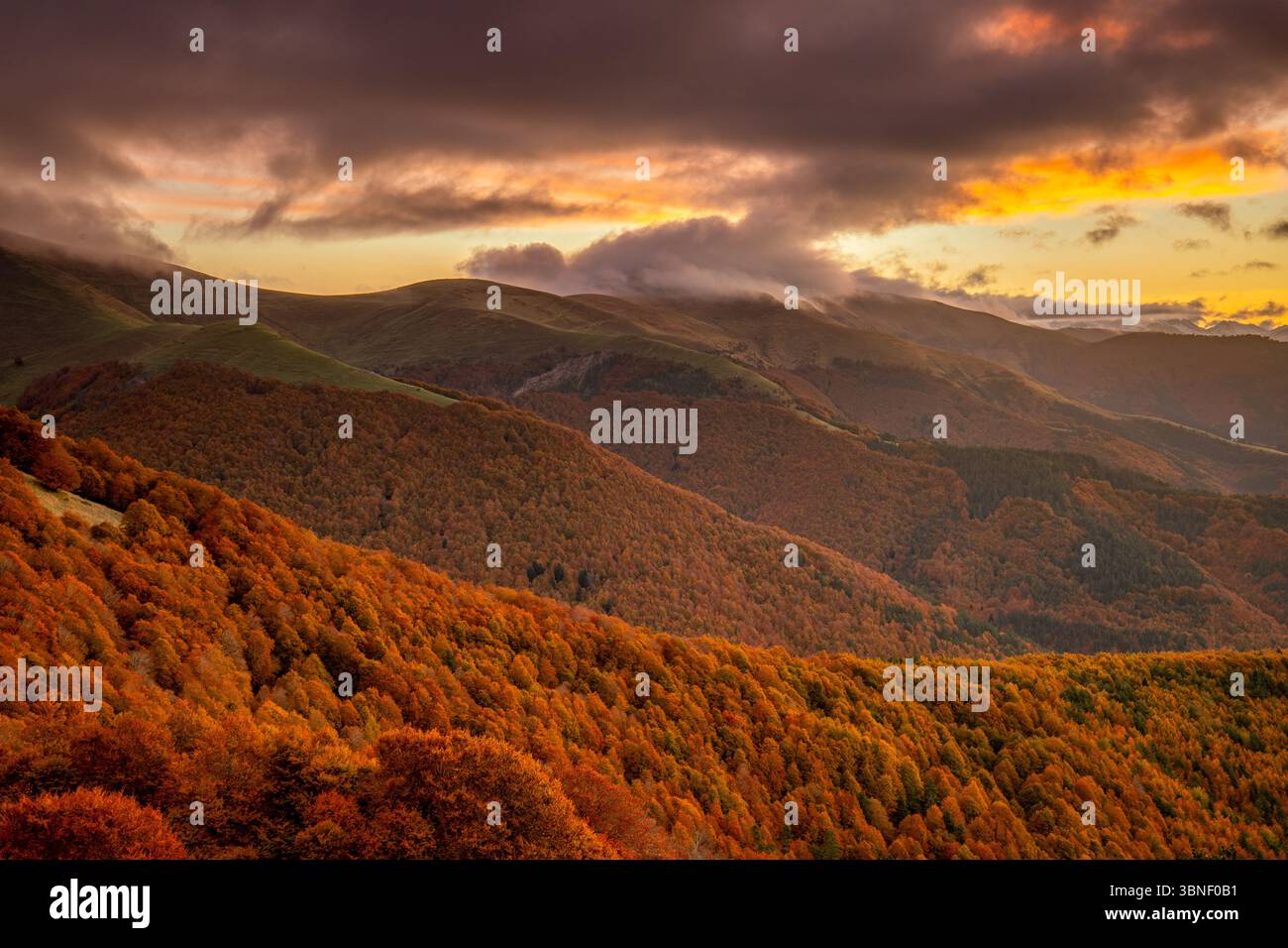 Autumn view pyrenean mountains hi-res stock photography and images - Alamy