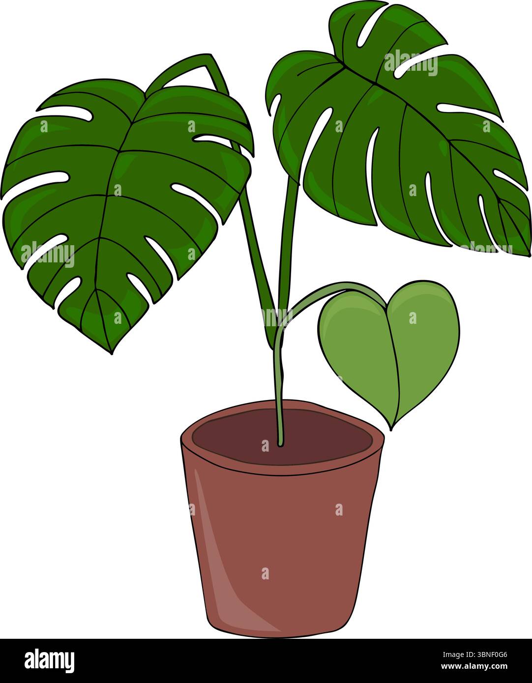 Monstera Plant in Brown Pot, Flat Cartoon Vector Illustration Stock ...