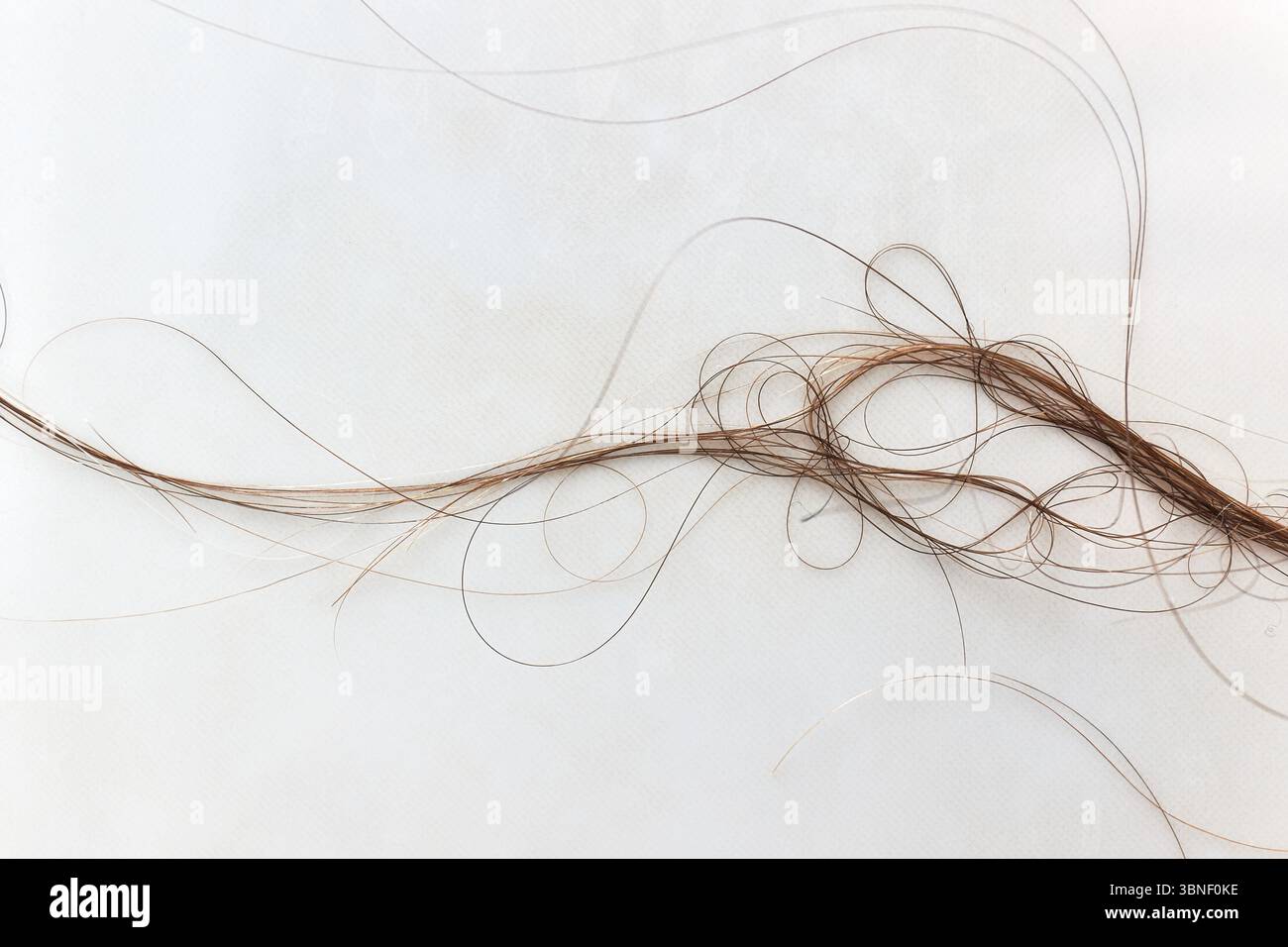 Tuft of long hair fallen on the bathroom floor Stock Photo - Alamy