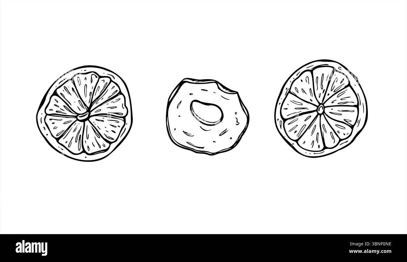 Orange winter fruits Stock Vector Images - Alamy