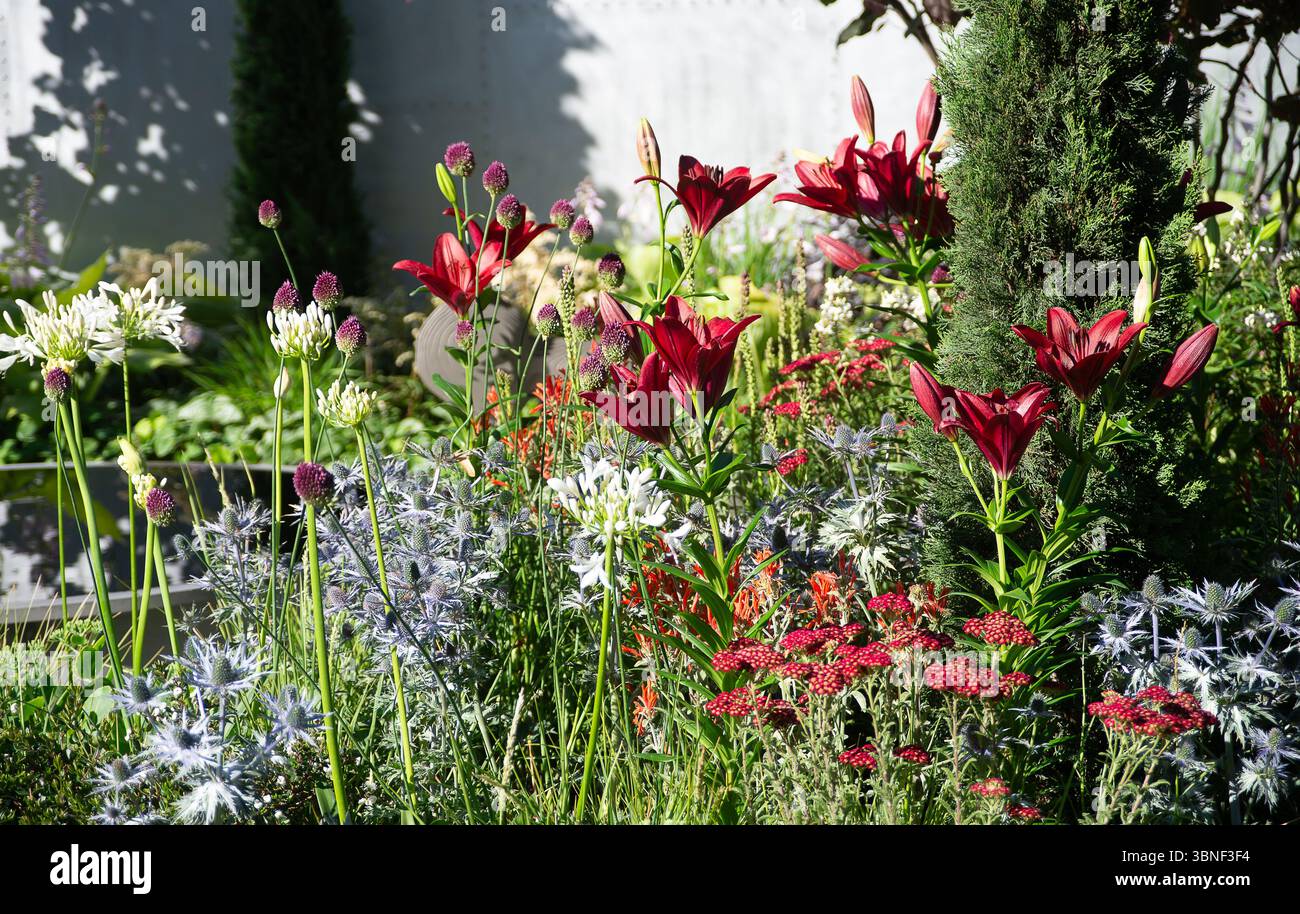 East Molesey, Surrey, UK. 30th June, 2025. One of the Gardens of ...