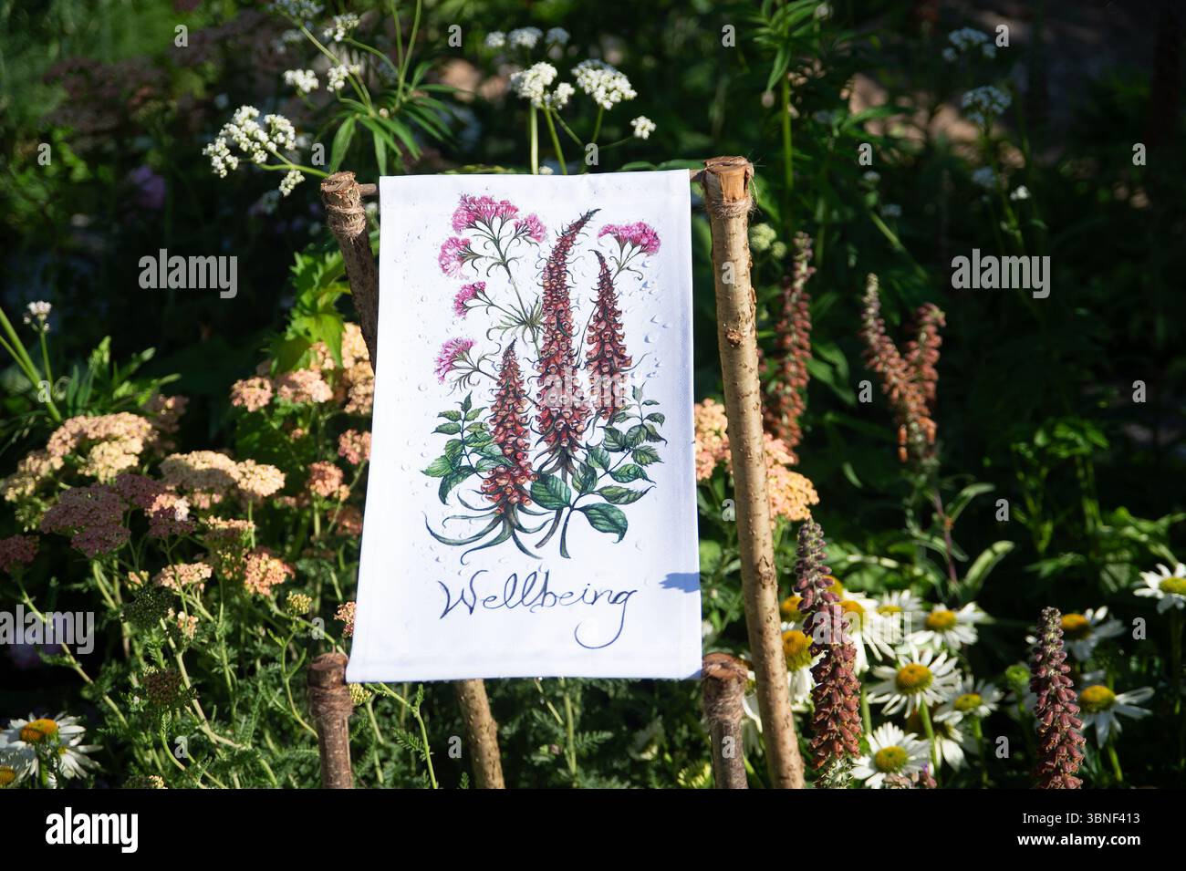 East Molesey, Surrey, UK. 30th June, 2025. One of the RHS Feature ...