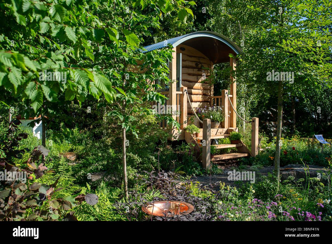East Molesey, Surrey, UK. 30th June, 2025. One of the RHS Feature ...