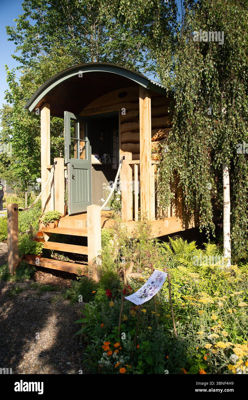 East Molesey, Surrey, UK. 30th June, 2025. One of the RHS Feature ...