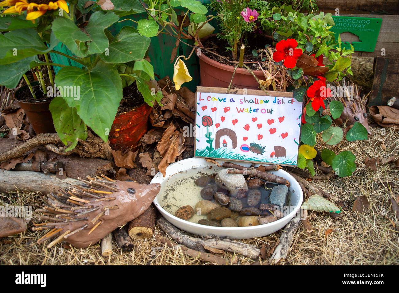 East Molesey, Surrey, UK. 30th June, 2025. One of the RHS School Bug ...