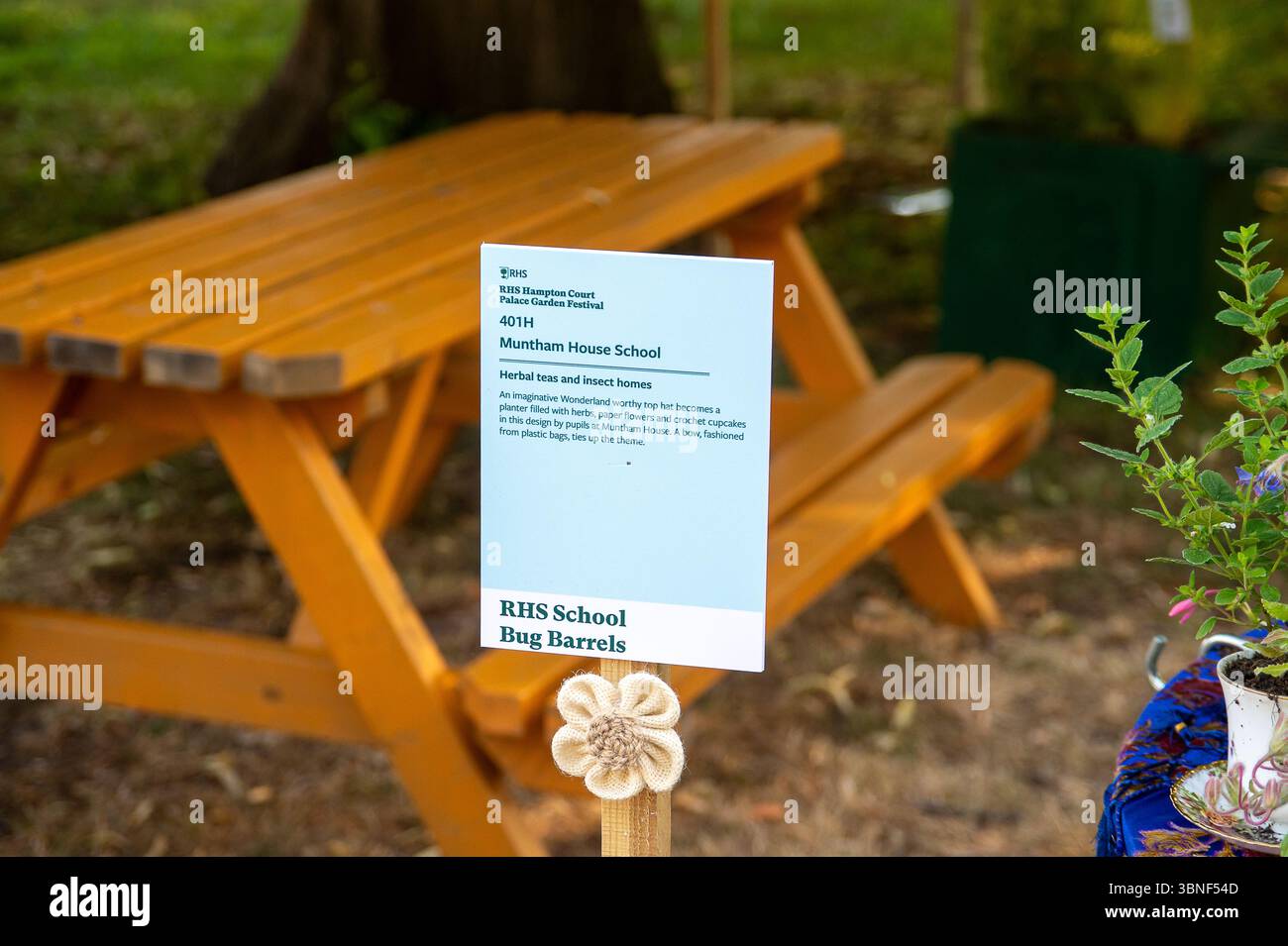 East Molesey, Surrey, UK. 30th June, 2025. One of the RHS School Bug ...