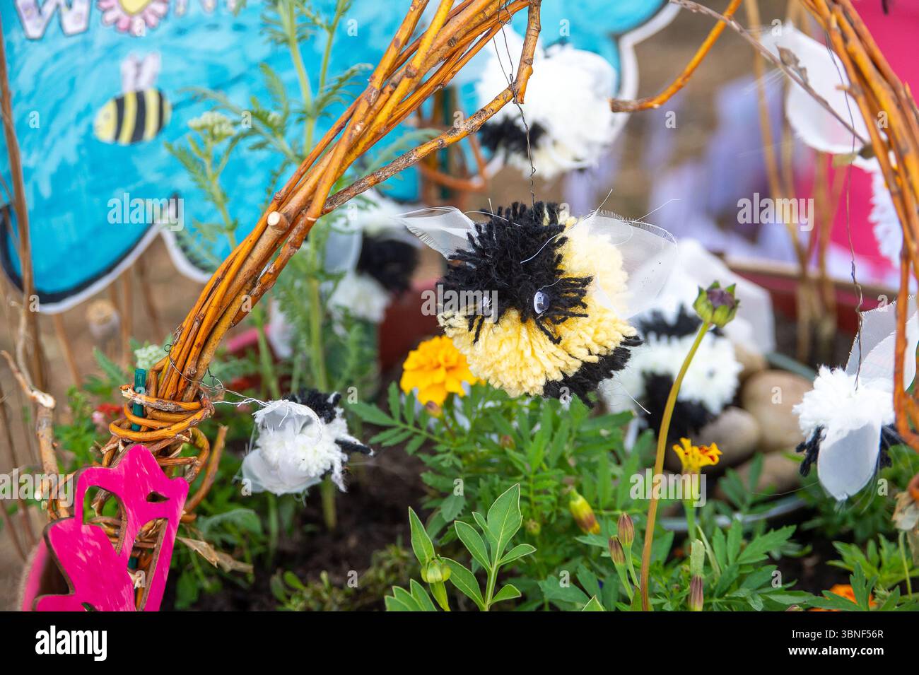 East Molesey, Surrey, UK. 30th June, 2025. One of the RHS School Bug ...