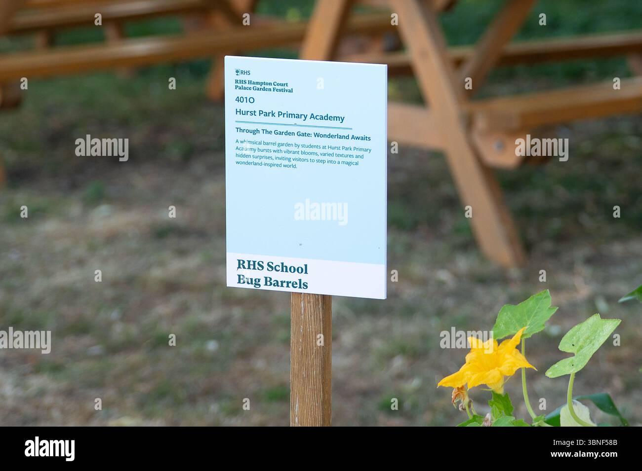 East Molesey, Surrey, UK. 30th June, 2025. One of the RHS School Bug ...