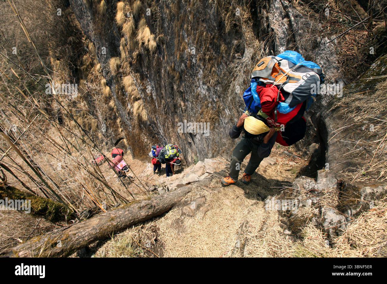 Trekkers ascend a dramatic Himalayan gorge in Nepal, dwarfed by ...