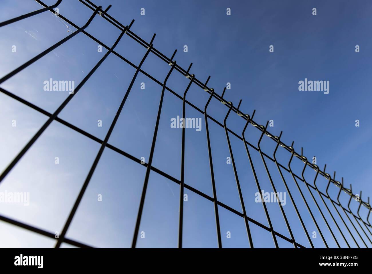 a thin metal lattice fence against a sky background, a small thin fence ...