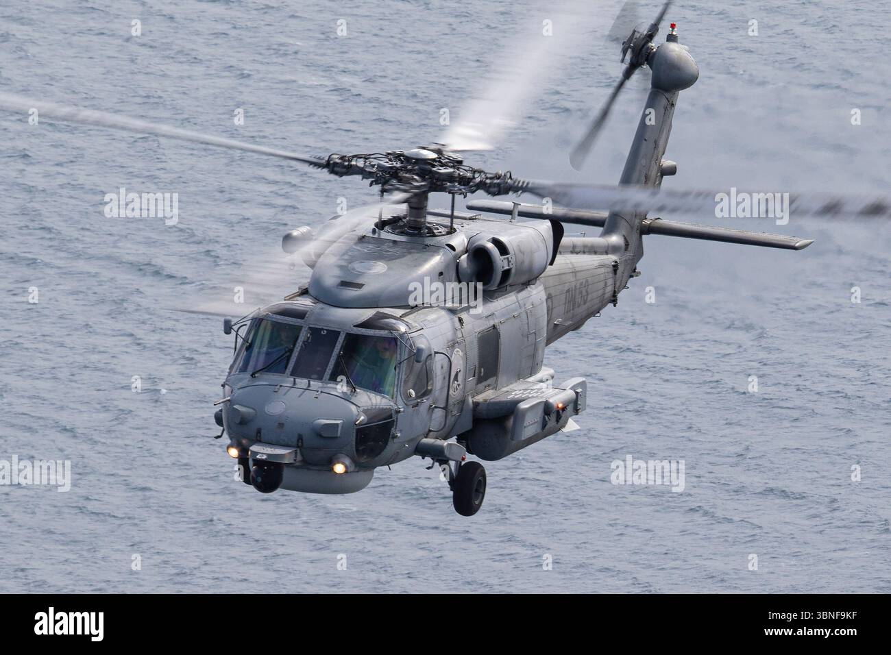 S 70b 6 aegean hawk hi-res stock photography and images - Alamy