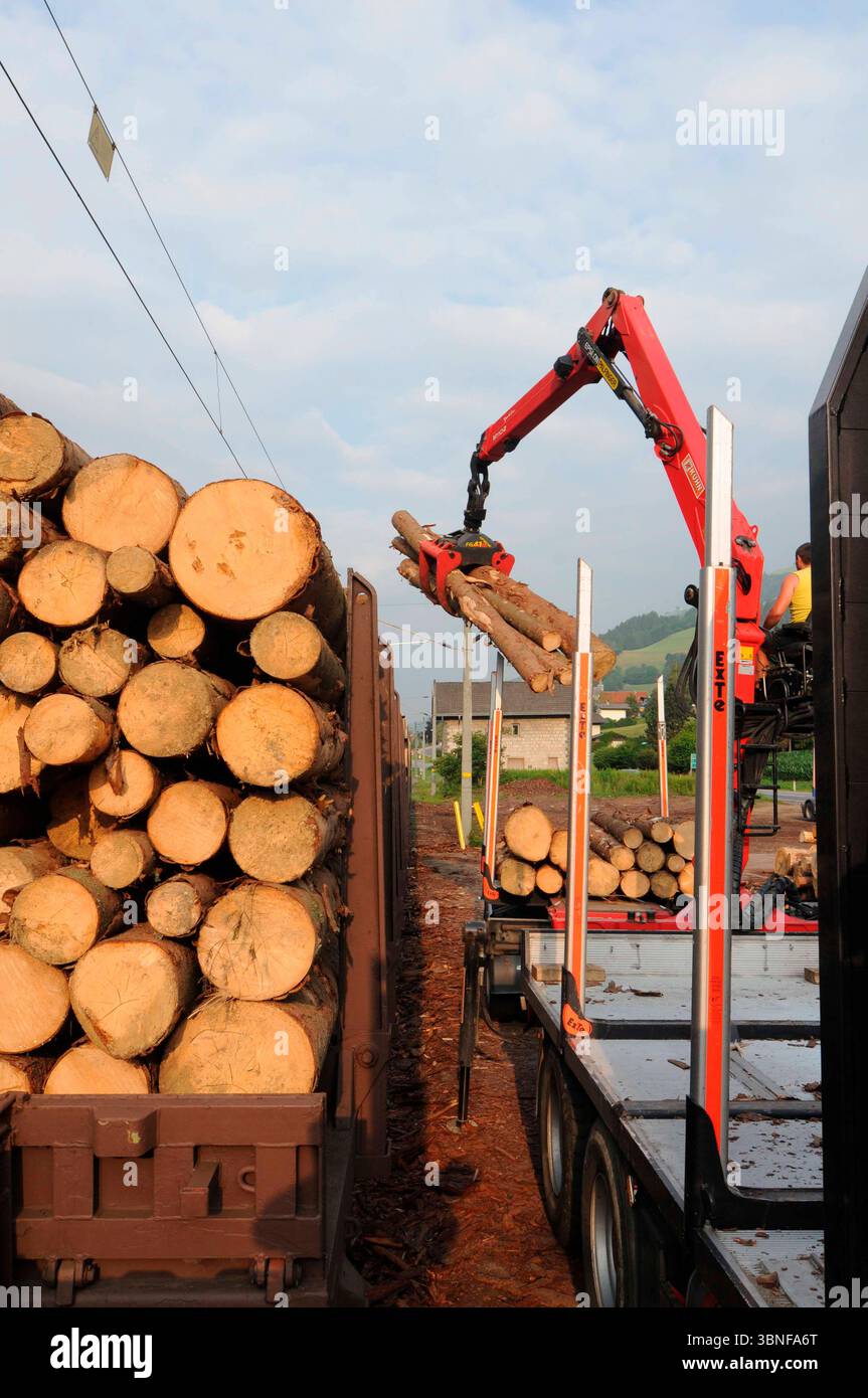 Loading of wood from the forest onto the rail for further transport ...