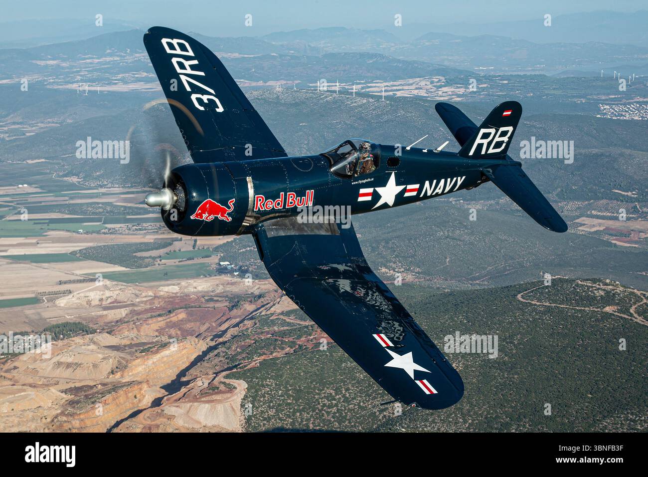 Distinctive wing structure hi-res stock photography and images - Alamy