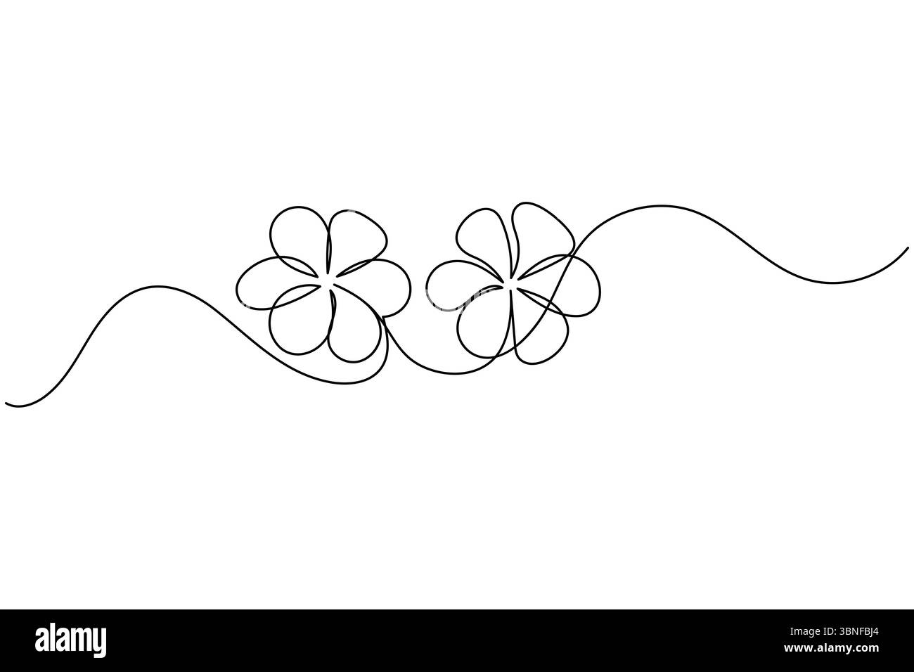 Hibiscus flower one line drawing in minimalist style isolated on white ...