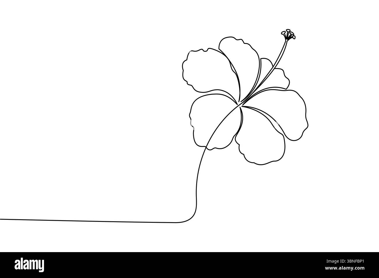 Hibiscus flower one line drawing in minimalist style isolated on white ...