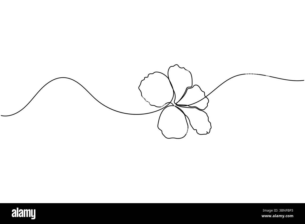 Hibiscus flower one line drawing in minimalist style isolated on white ...