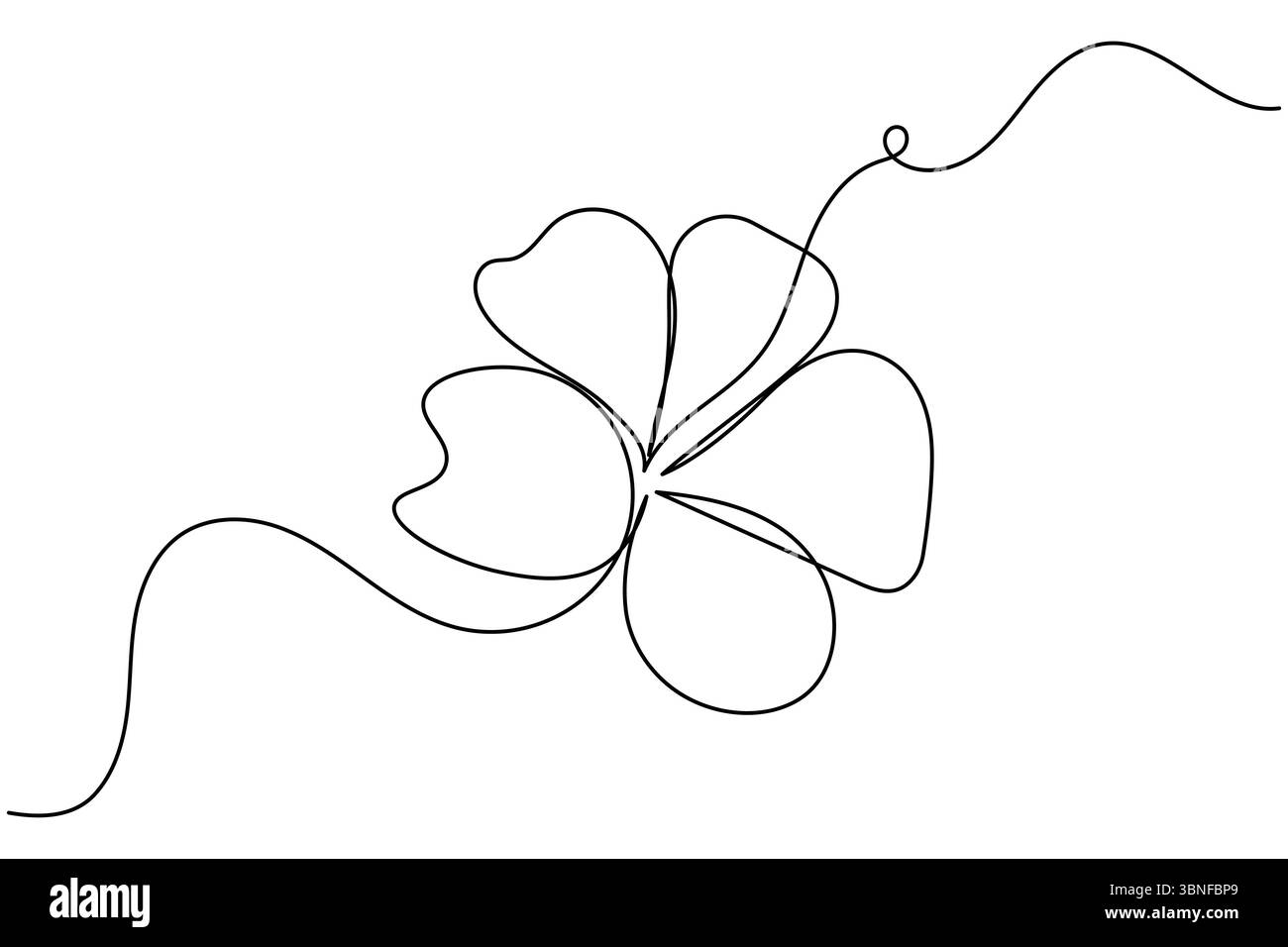 Hibiscus flower one line drawing in minimalist style isolated on white ...
