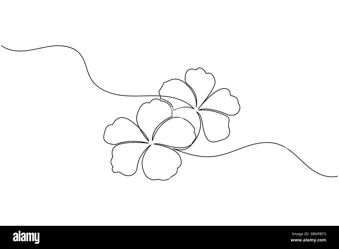 Hibiscus flower one line drawing in minimalist style isolated on white ...